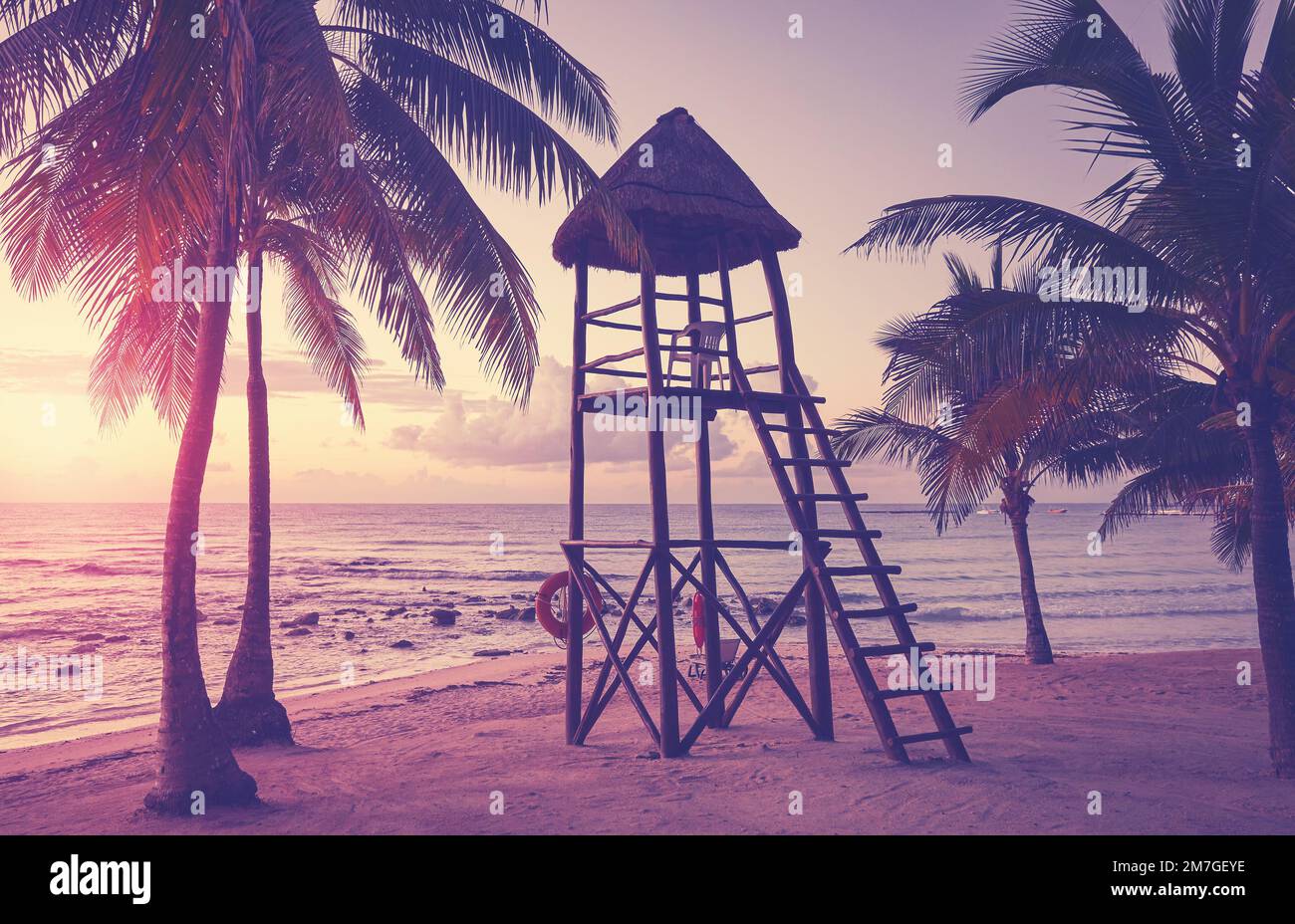 Silhouettes of coconut palm trees and a lifeguard tower on a tropical ...