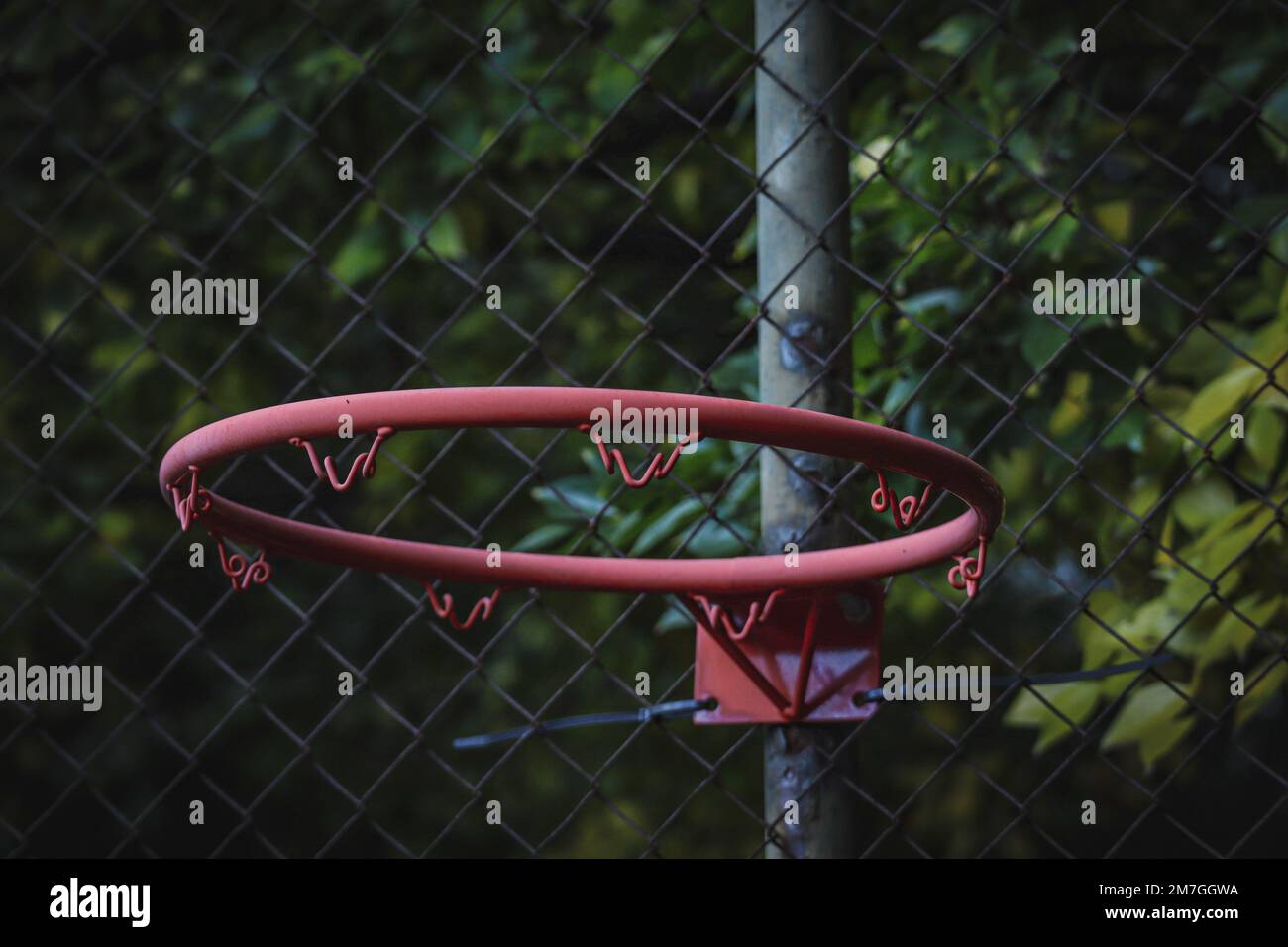 Grid in the ring hi-res stock photography and images - Alamy