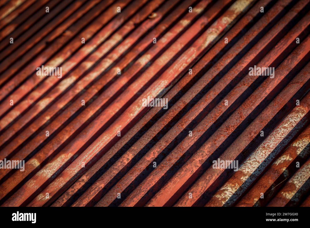 A closeup of an old rusty roofing sheets - perfect for backgrounds ...