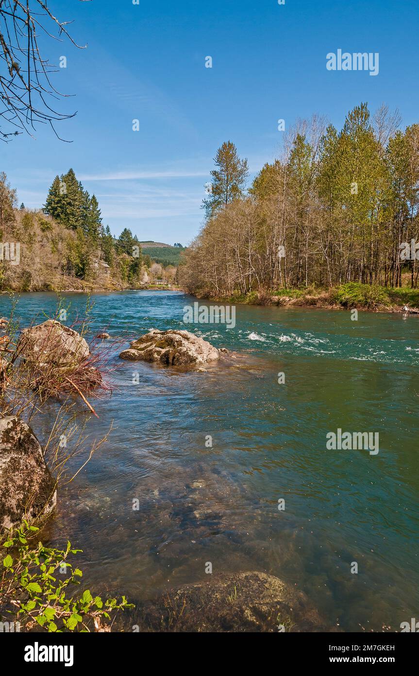View upstream at Coast Fork Willamette River near Mt Pisgah Arboretum ...