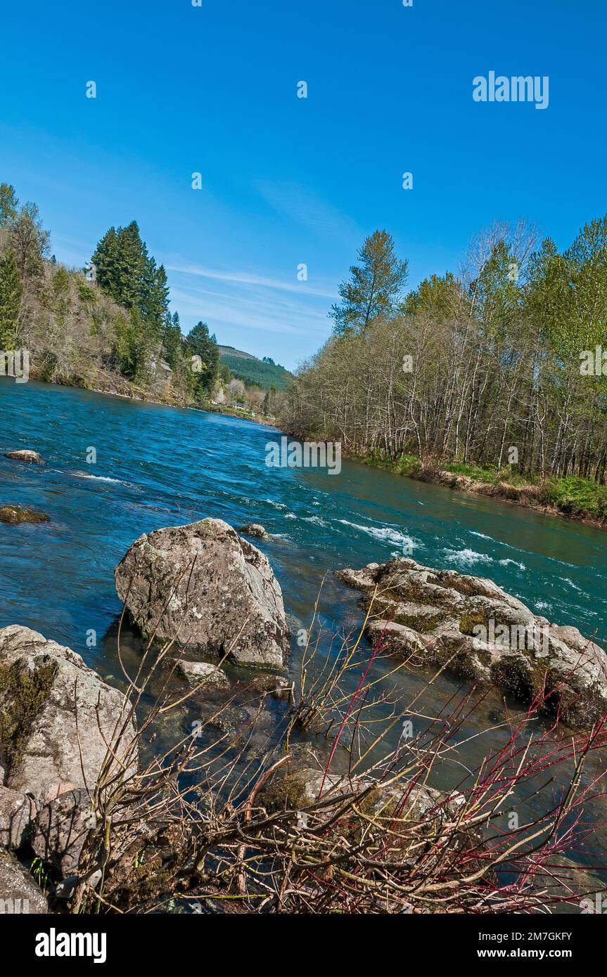View upstream at Coast Fork Willamette River near Mt Pisgah Arboretum ...