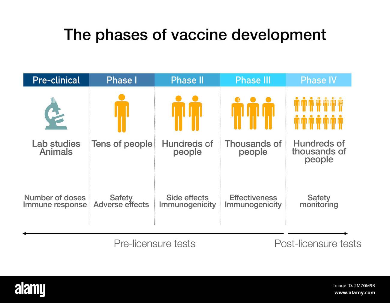 China development Cut Out Stock Images & Pictures - Alamy