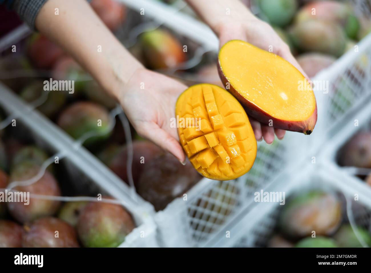 Hands of female worker holding sliced ripe mango Stock Photo - Alamy
