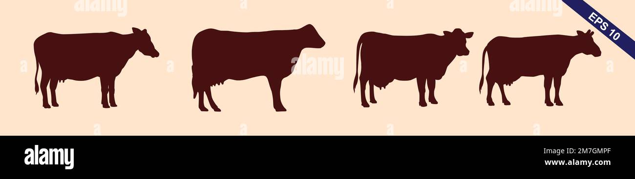Bull set. Stylized silhouettes of standing in different poses and ...