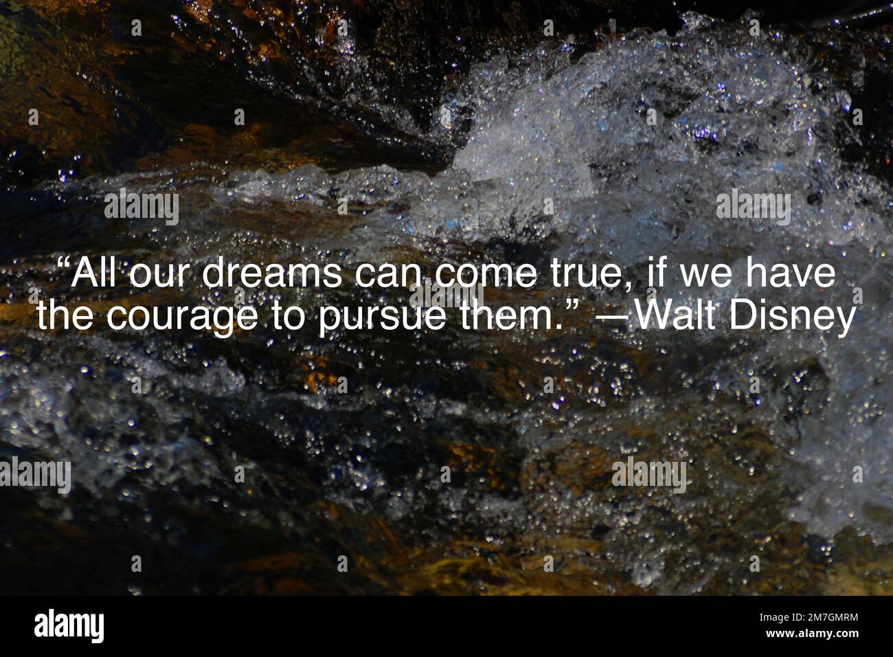 “all Our Dreams Can Come True If We Have The Courage To Pursue Them