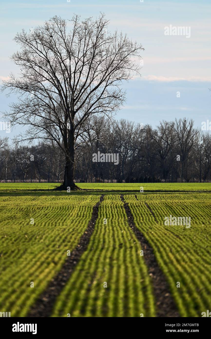 Farmland decline hi-res stock photography and images - Alamy