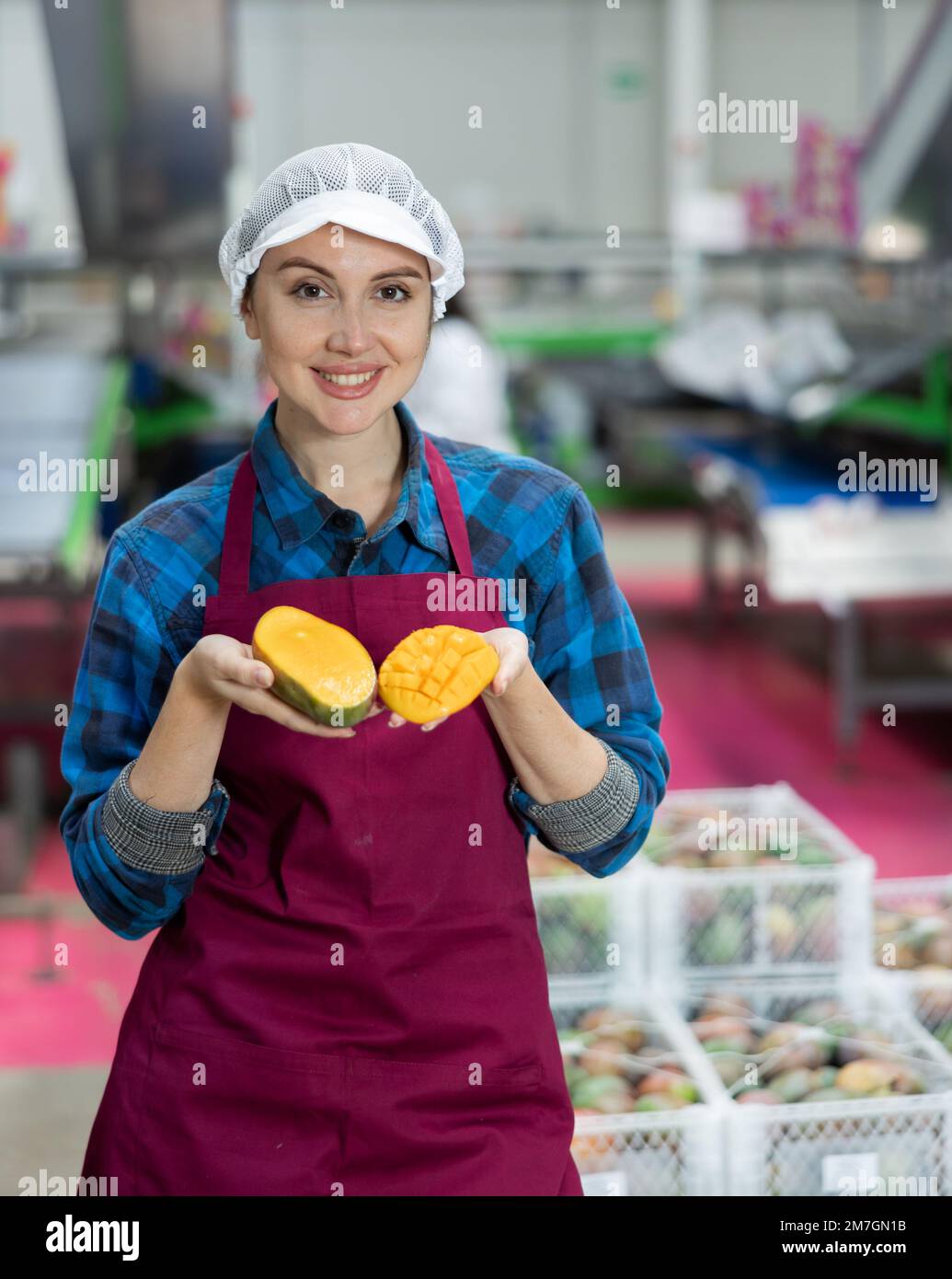 Happy fruit sorting factory workwoman holding sliced mango Stock Photo ...
