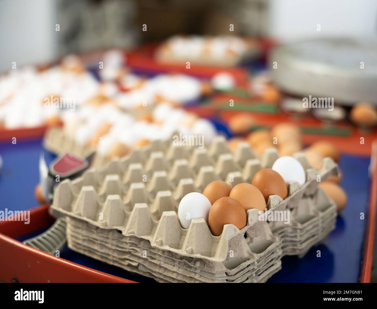 Sorting protein hi-res stock photography and images - Alamy