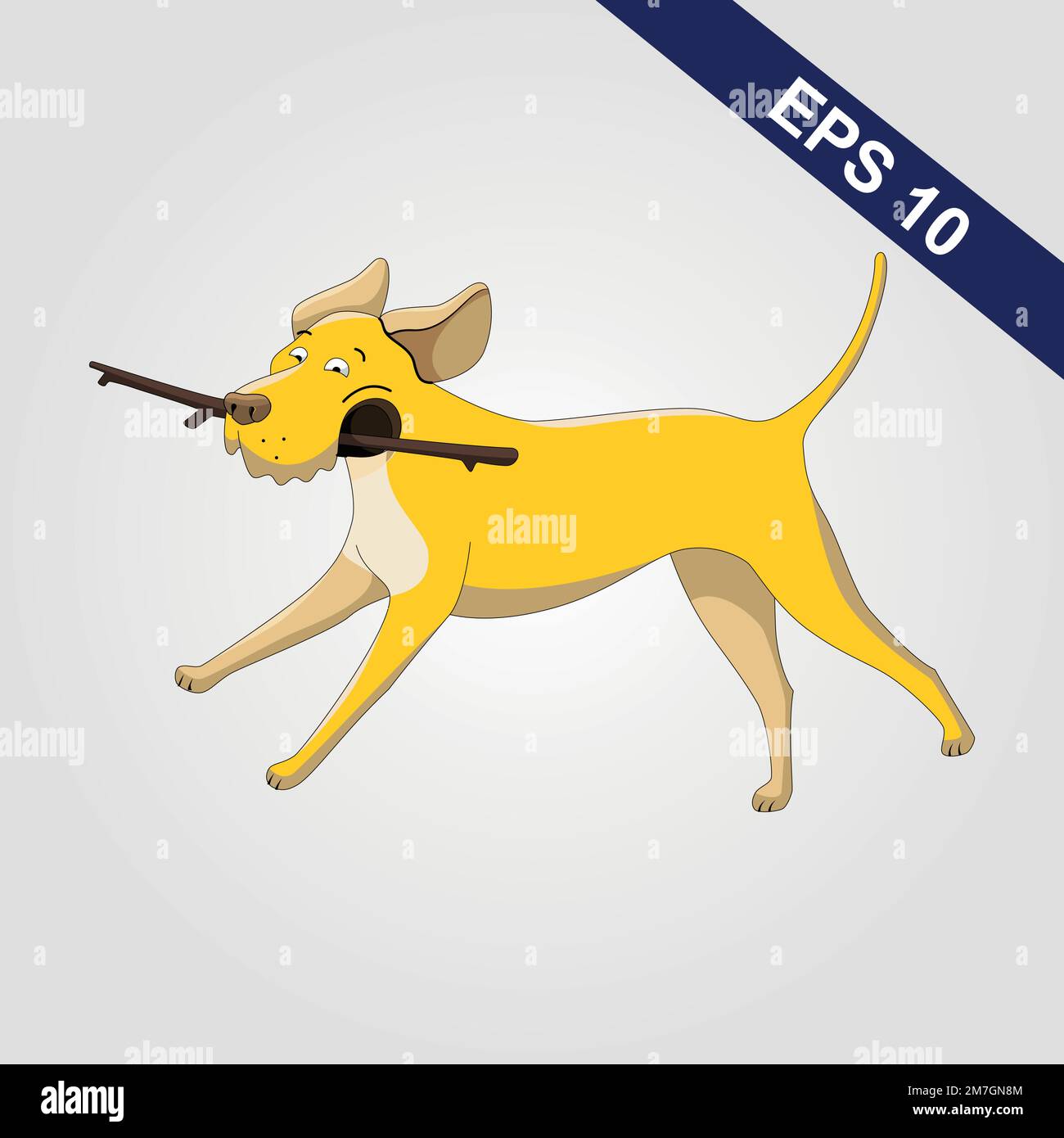 Labrador Retriever running with take wooden stick in mouth Colored ...