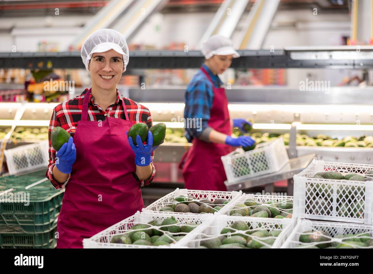 Crates factory avocado hi-res stock photography and images - Alamy