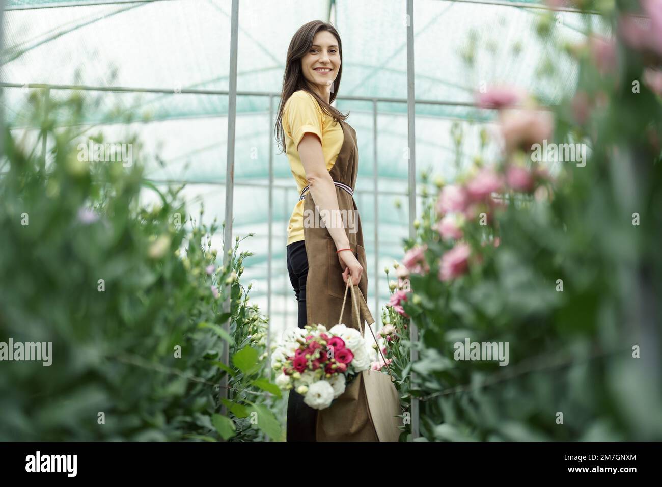 Woman florist walking among flowers in a green house carrying a basket ...