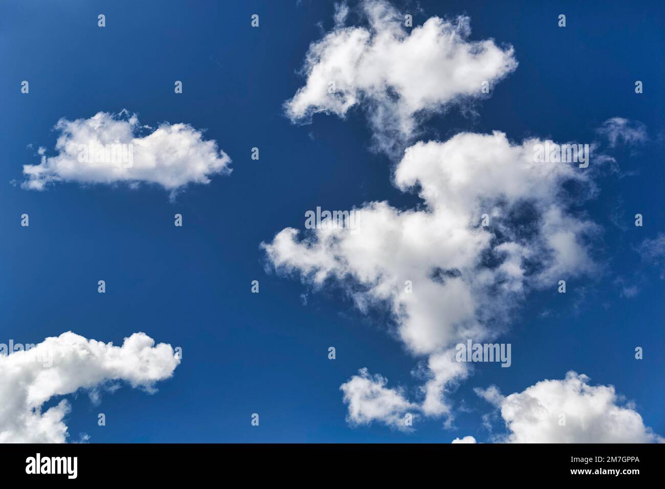 Sunny weather in summer hi-res stock photography and images - Alamy