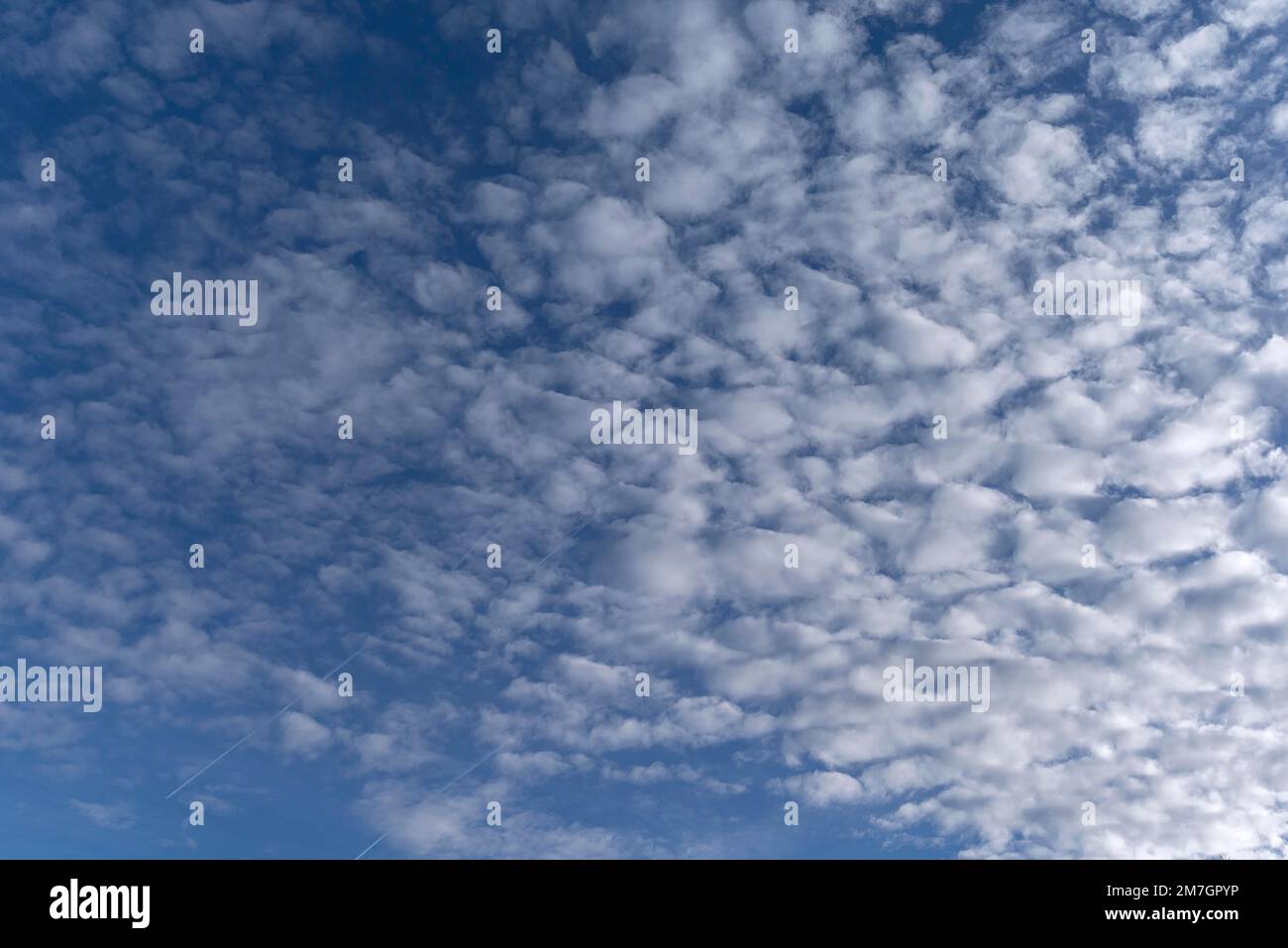 Cloud cloudy altocumulus hi-res stock photography and images - Alamy