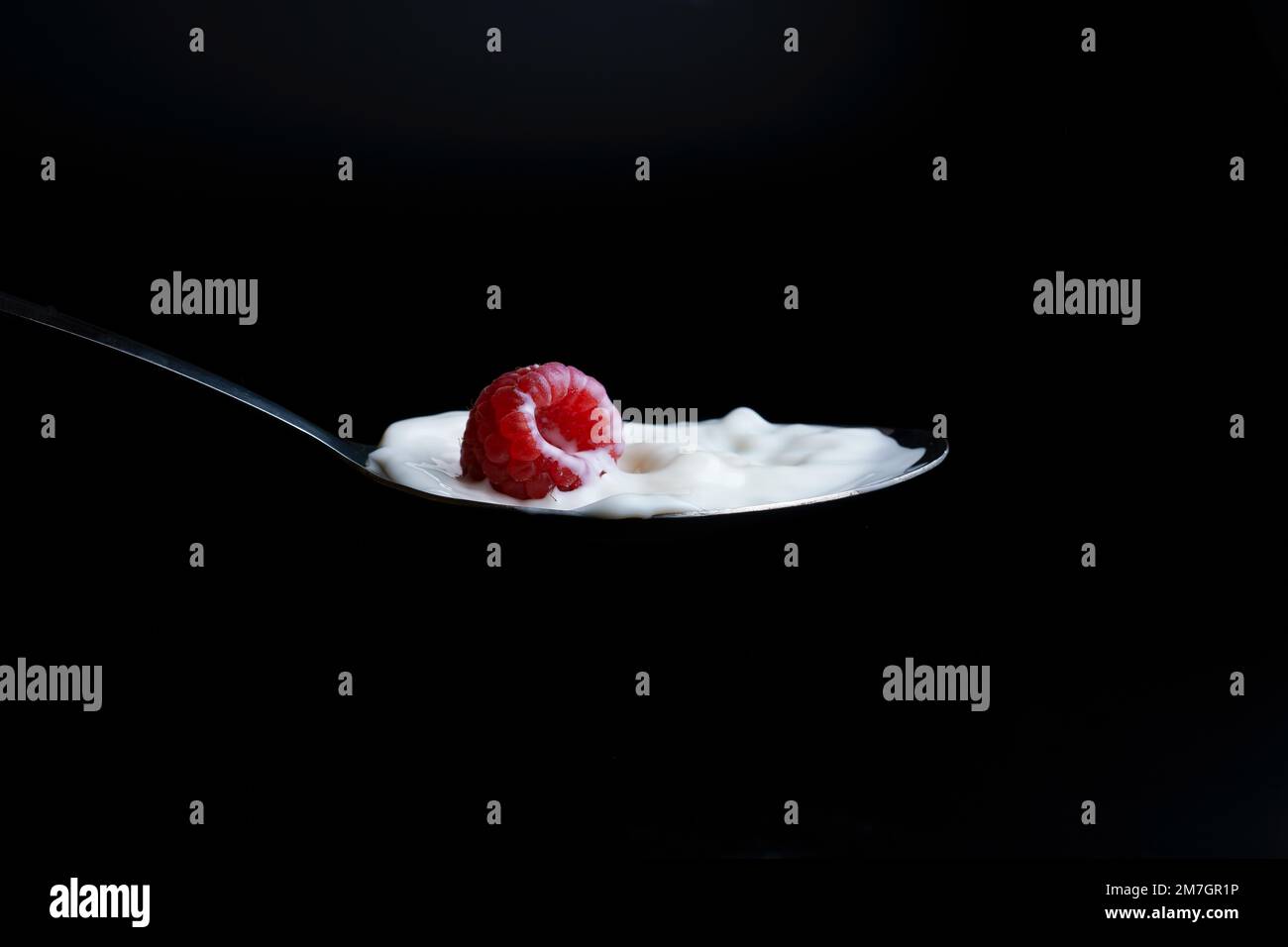Raspberry splashing milk on a metal spoon splash effect with black ...