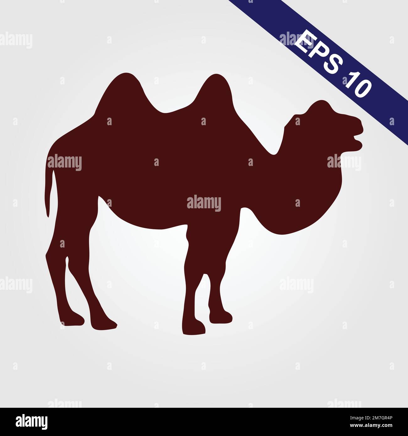 Camel graphic icon. Camel black sign isolated on grey background. Camel ...