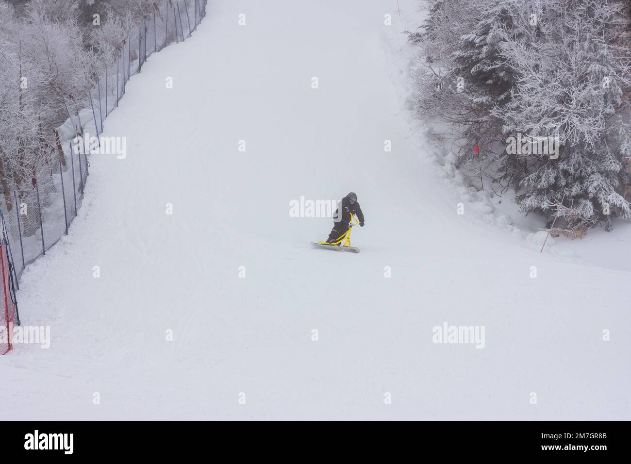 Descente en vélo ski Stock Photo - Alamy