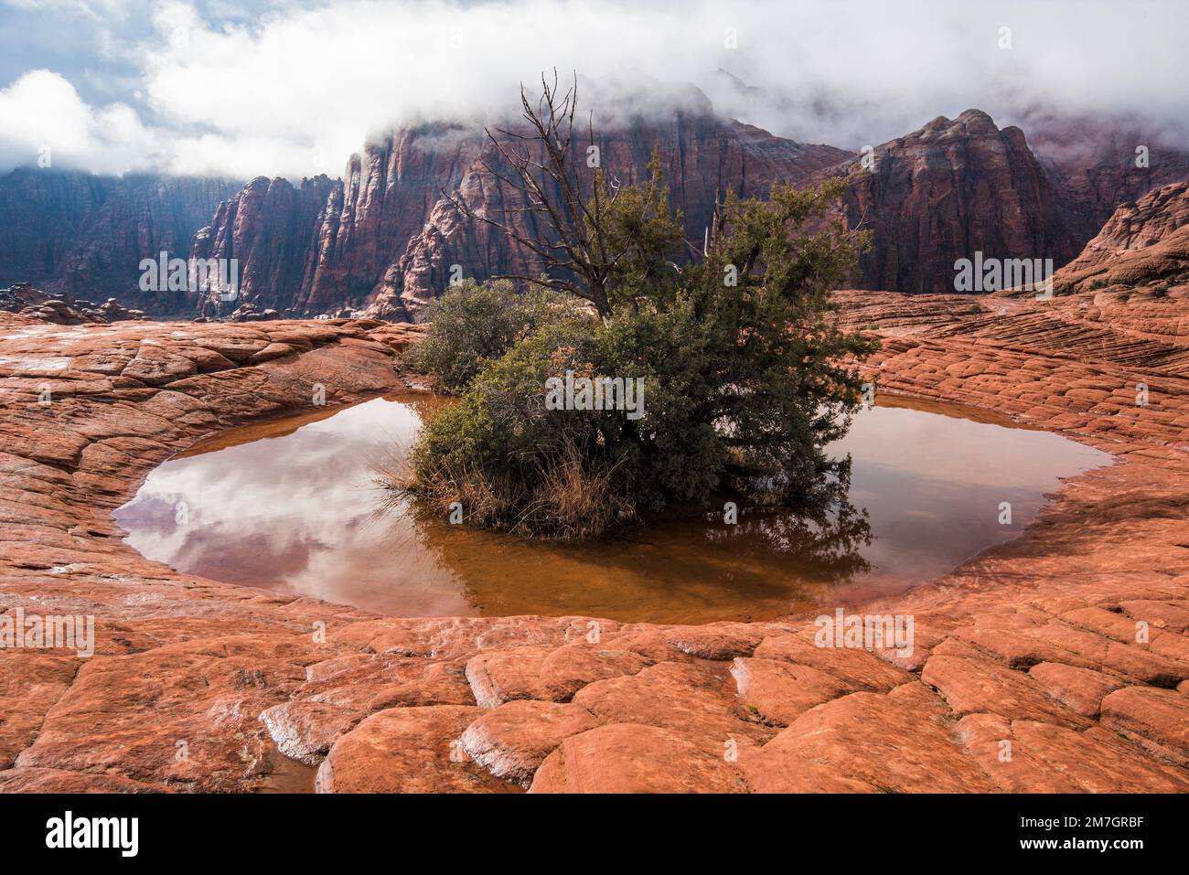 Life giving water pockets in the petrified sand dunes in Snow Canyon ...