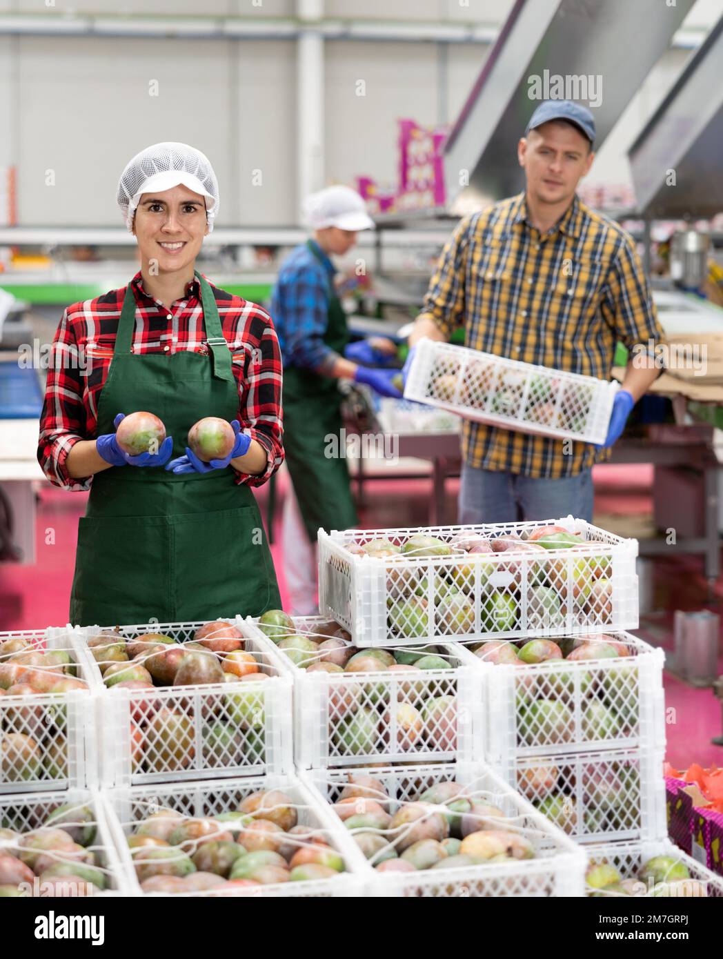 Box of mangoes hi-res stock photography and images - Alamy