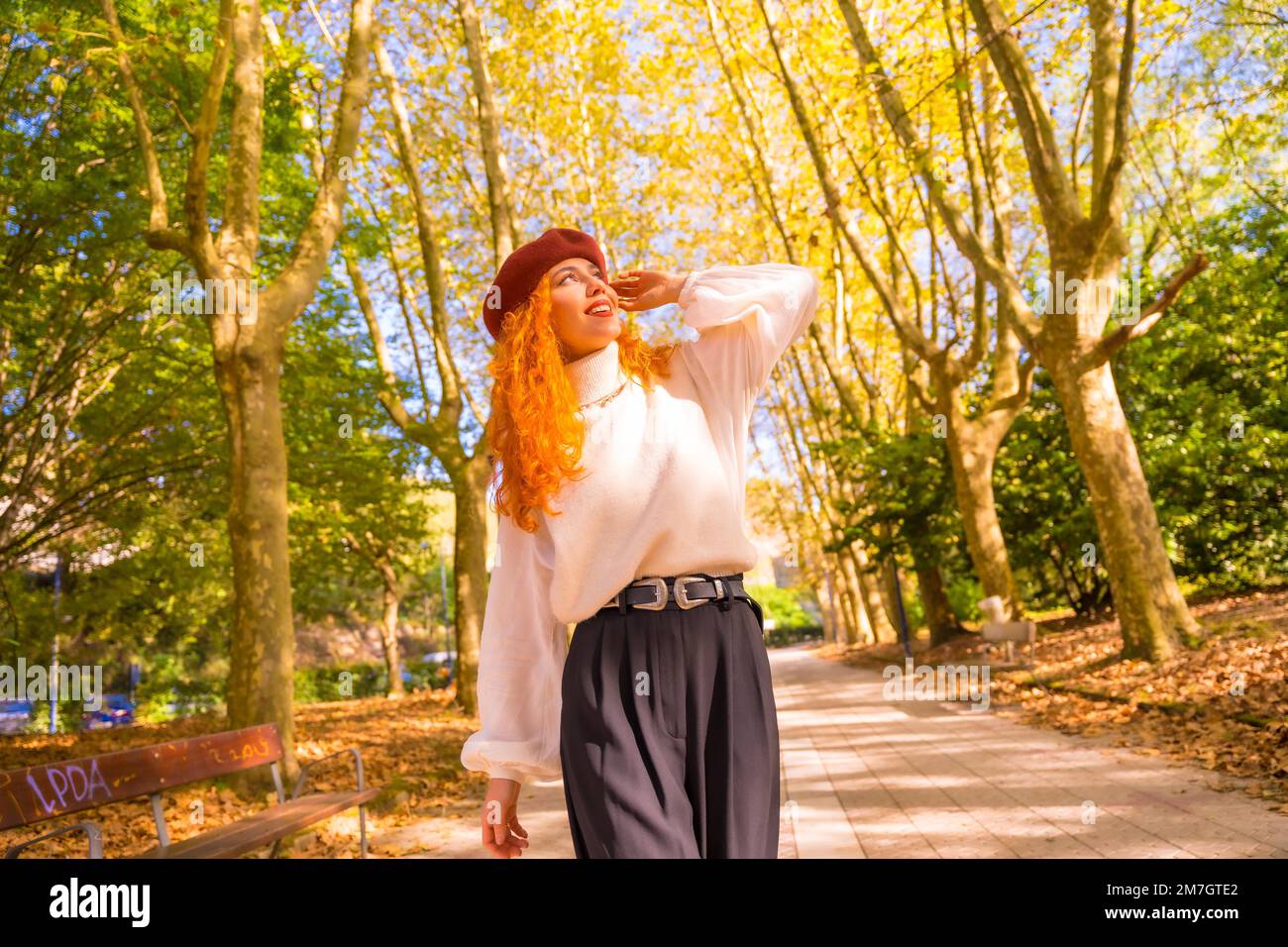 Lively forest setting hi-res stock photography and images - Alamy