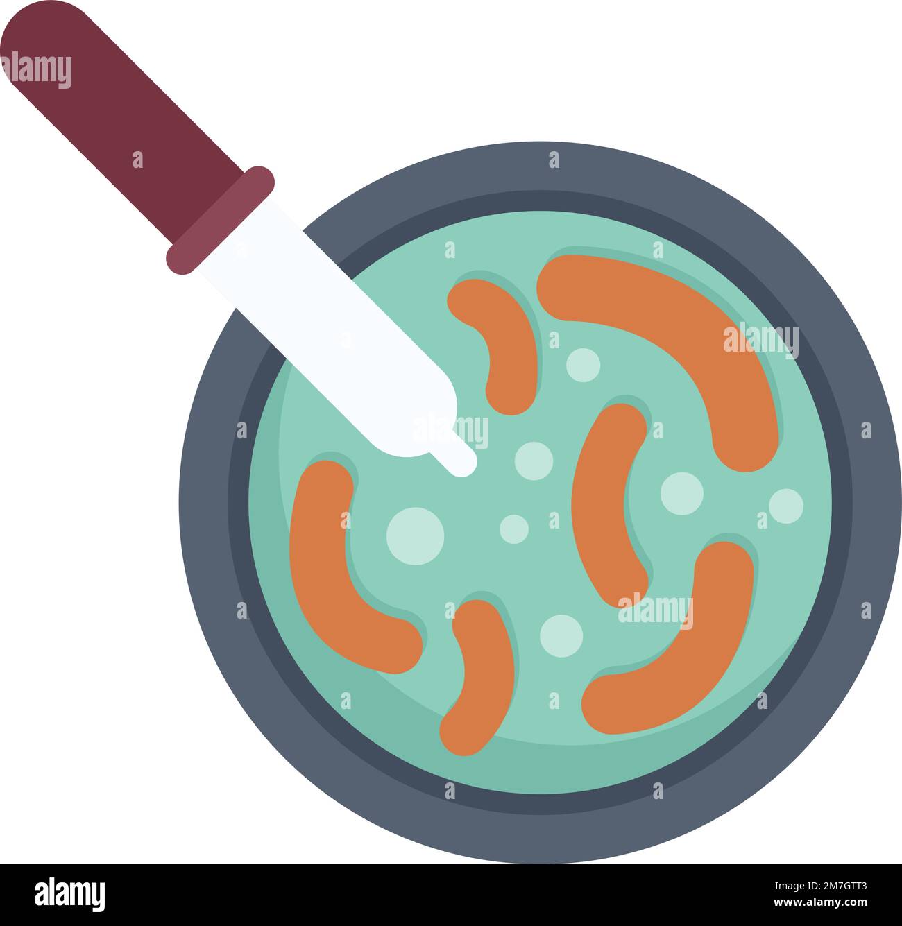 Bacillus icon flat vector. Petri dish. Medical virus isolated Stock ...