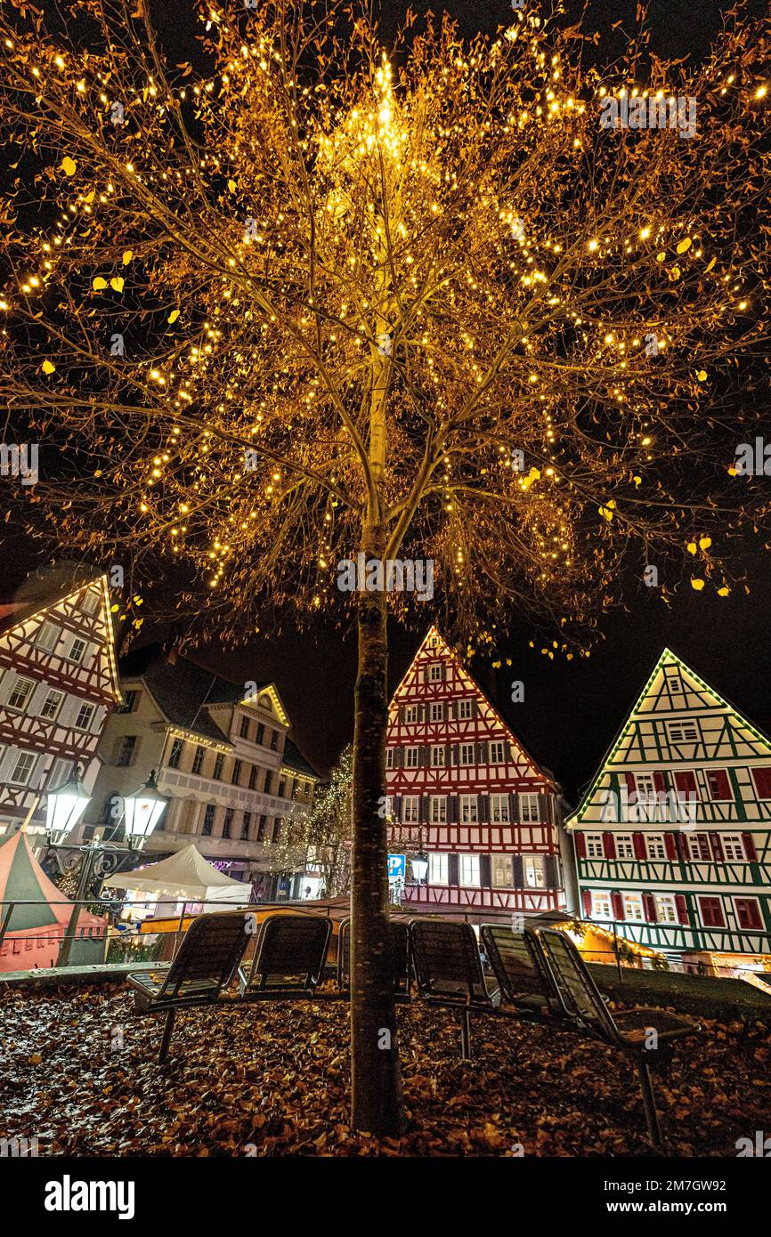 Illuminated tree at Christmas market at night, Calw, Germany Stock ...