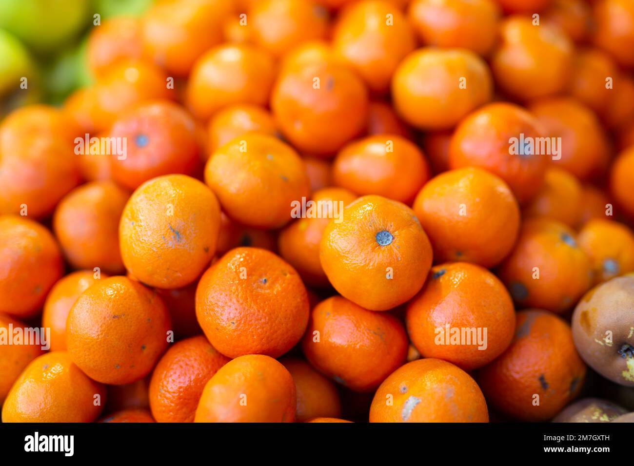 Showcase with fresh organic tangerines in supermarket Stock Photo - Alamy