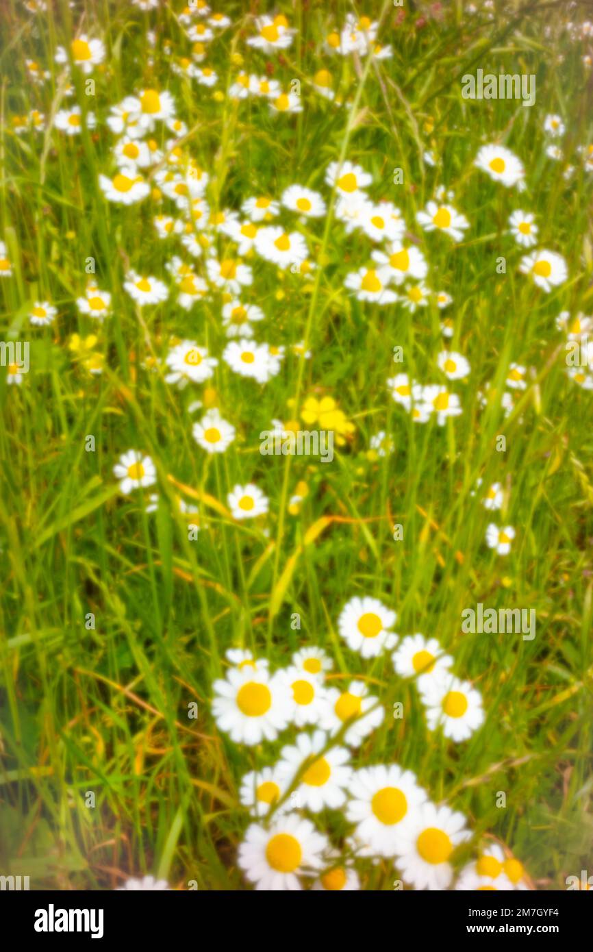 New, Age-defying, digital age, lensless, stand-out, high resolution ...