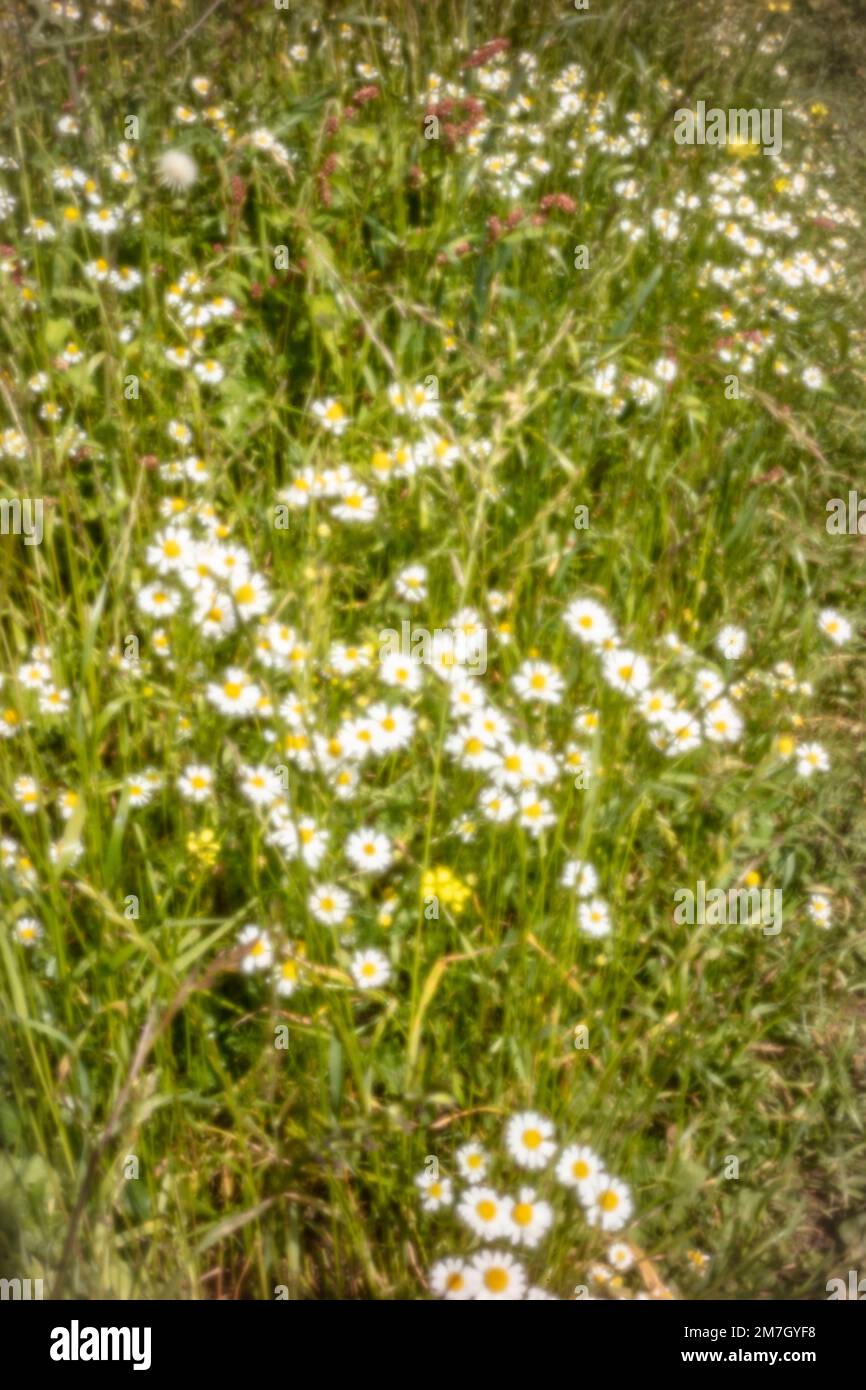 New, Age-defying, digital age, lensless, stand-out, high resolution ...