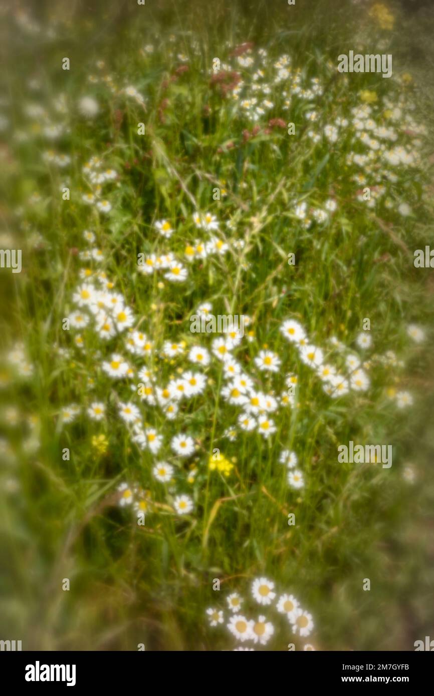 New, Age-defying, digital age, lensless, stand-out, high resolution ...