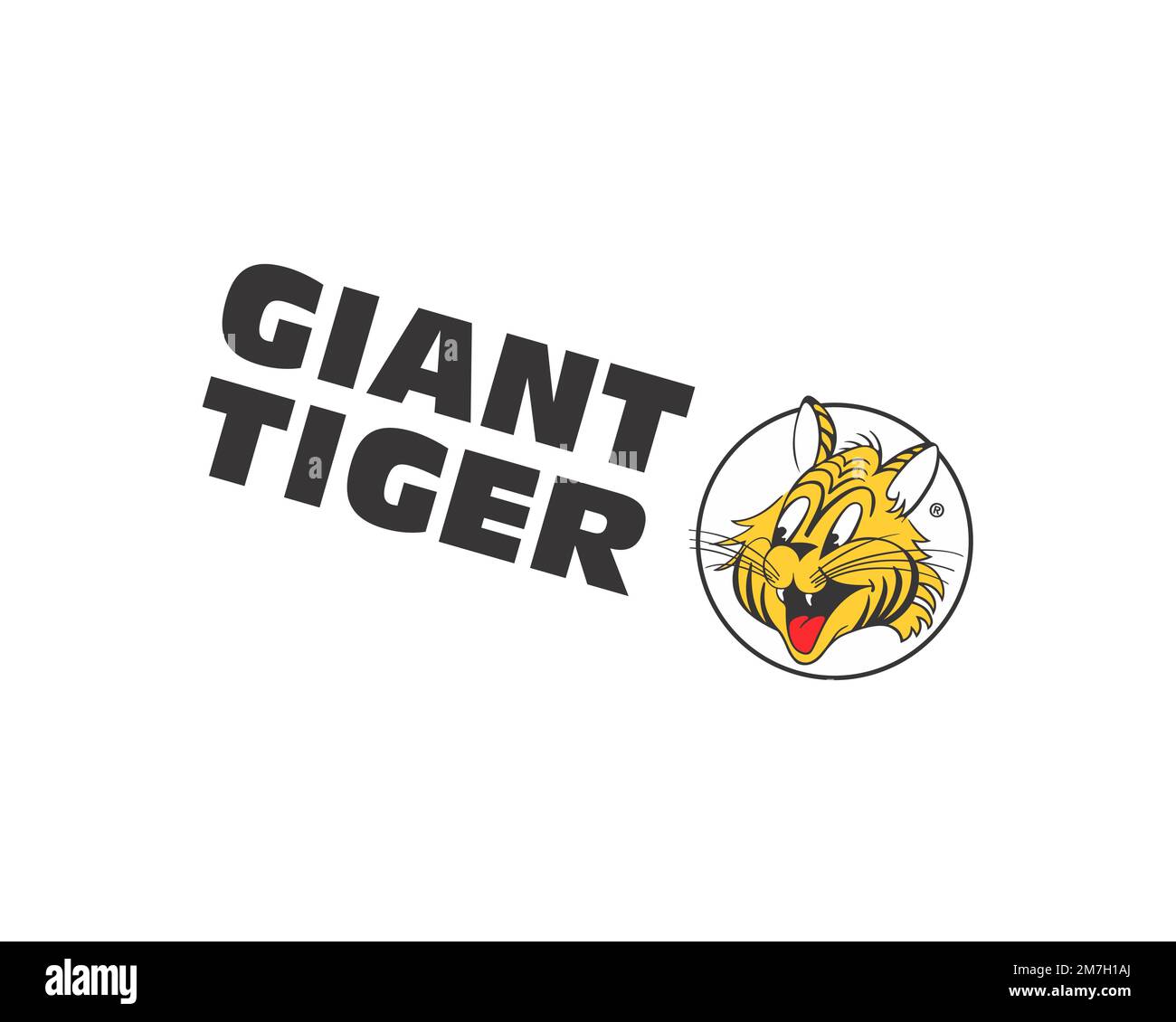 White tiger b hi-res stock photography and images - Alamy