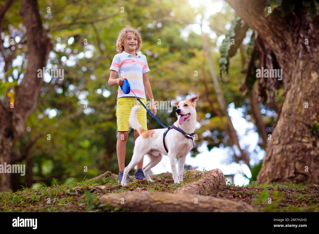 Child and dog walk in summer park. Little boy playing with his puppy ...