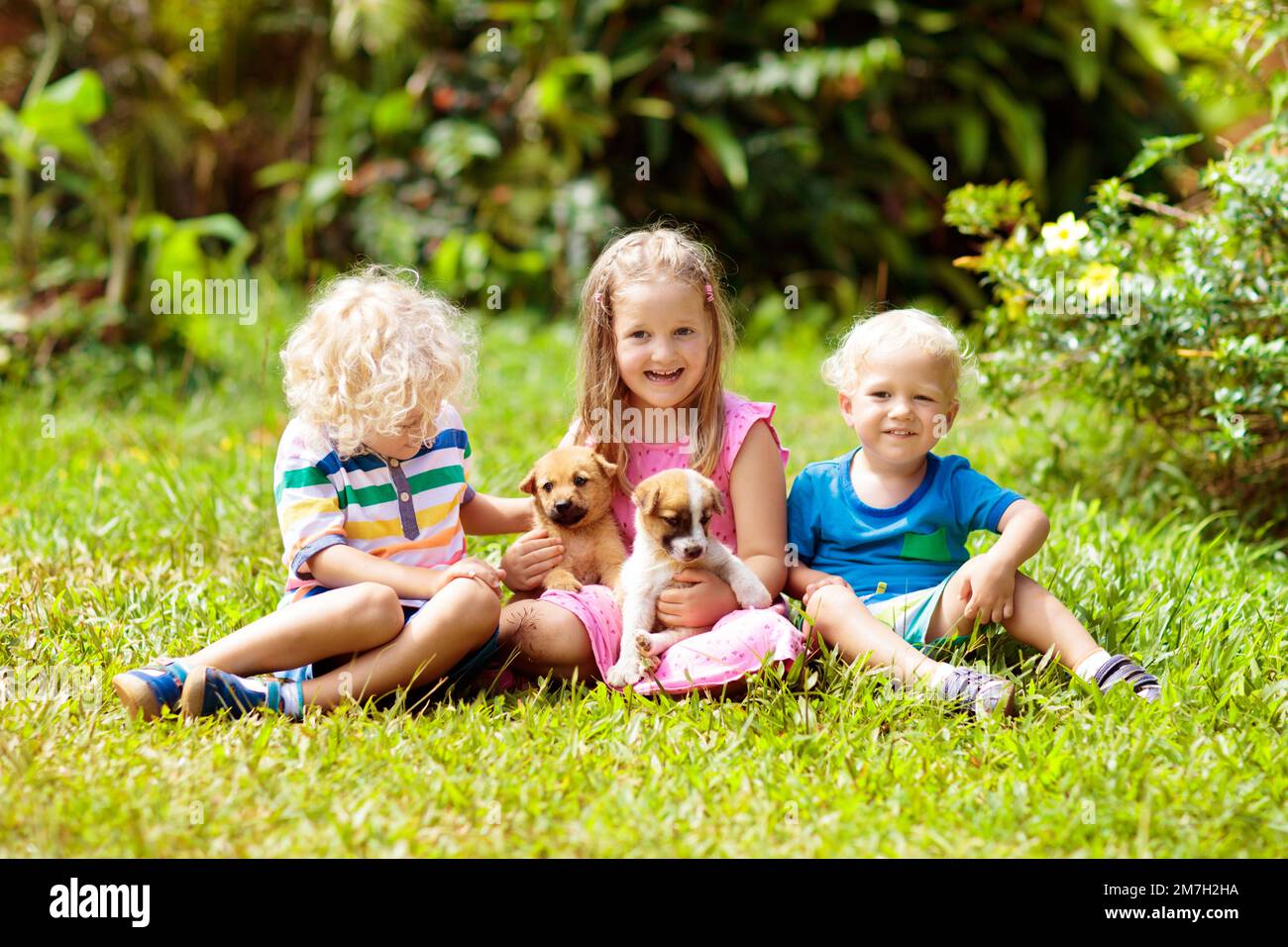 Kids play with cute little puppy. Children and baby dogs playing in ...