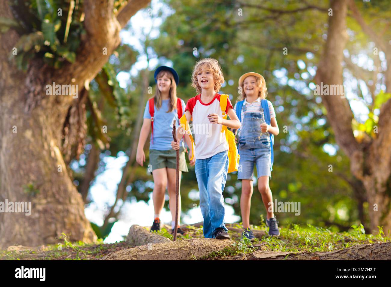 Kids explore nature. Children hike in sunny summer park. Scout club and ...
