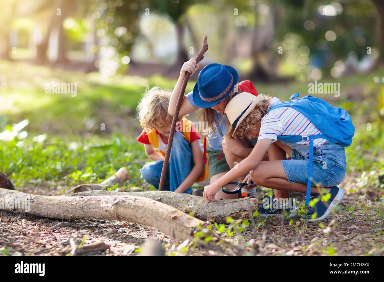 Kids explore nature. Children hike in sunny summer park. Scout club and ...