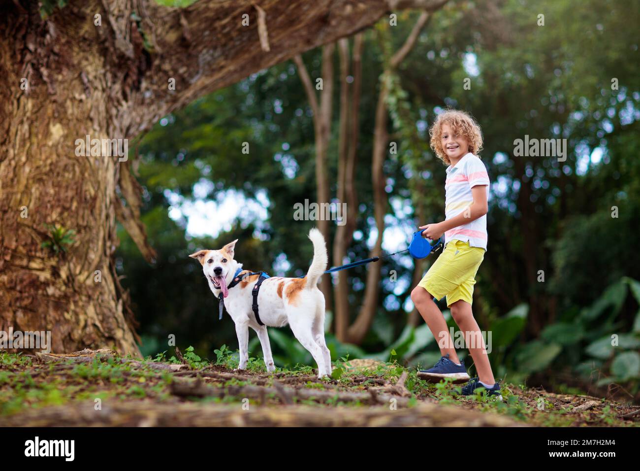 Child and dog walk in summer park. Little boy playing with his puppy ...