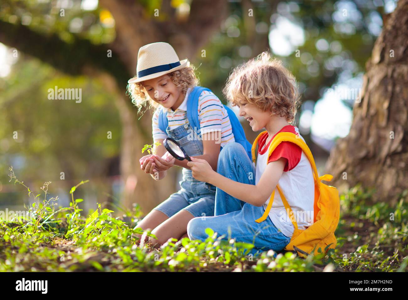 Kids explore nature. Children hike in sunny summer park. Scout club and ...