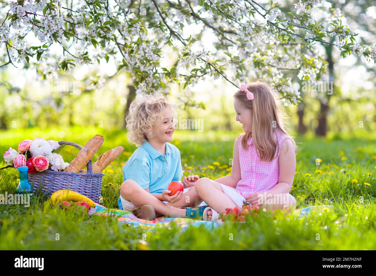 Family picnic in spring park with blooming cherry trees. Kids eating ...