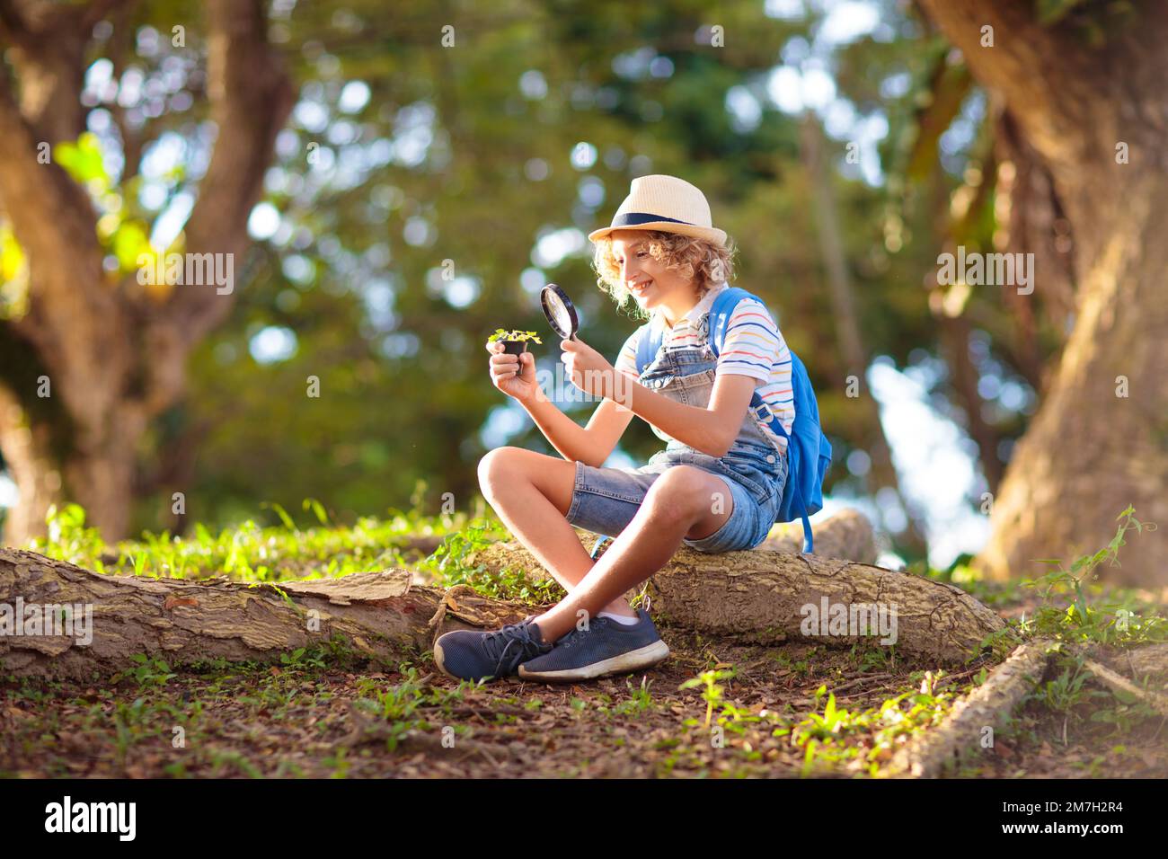 Kids explore nature. Children hike in sunny summer park. Scout club and ...
