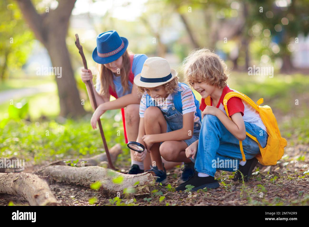 Kids explore nature. Children hike in sunny summer park. Scout club and ...