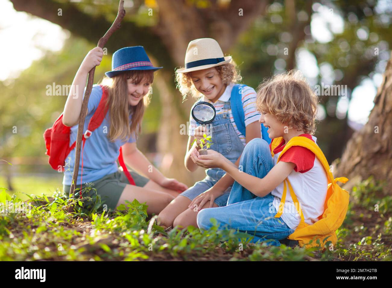 Kids explore nature. Children hike in sunny summer park. Scout club and ...