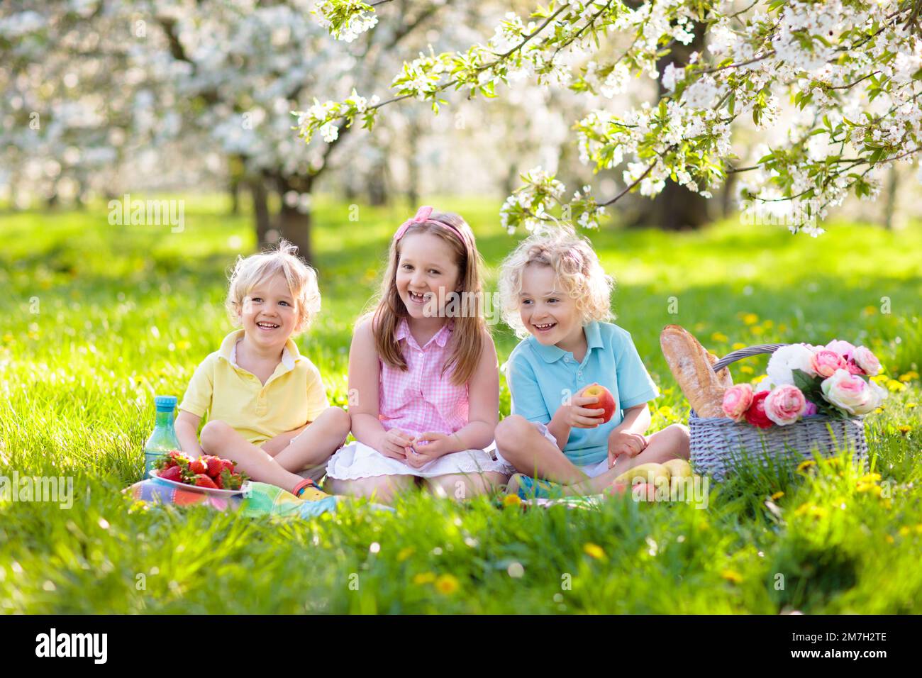 Family picnic in spring park with blooming cherry trees. Kids eating ...