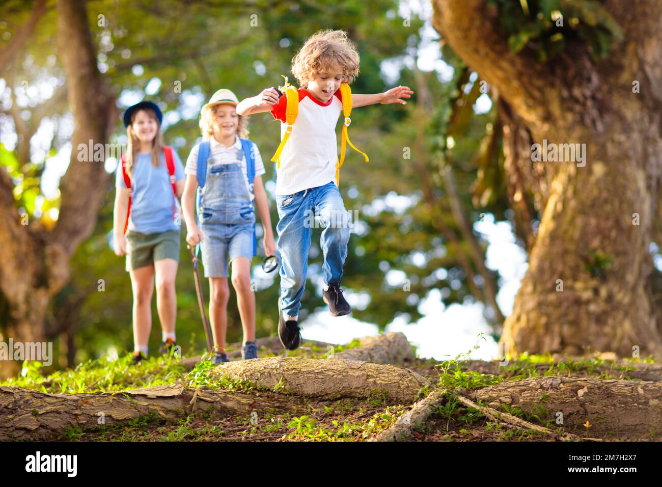 Kids explore nature. Children hike in sunny summer park. Scout club and ...