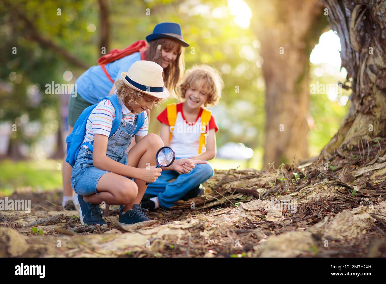 Kids explore nature. Children hike in sunny summer park. Scout club and ...