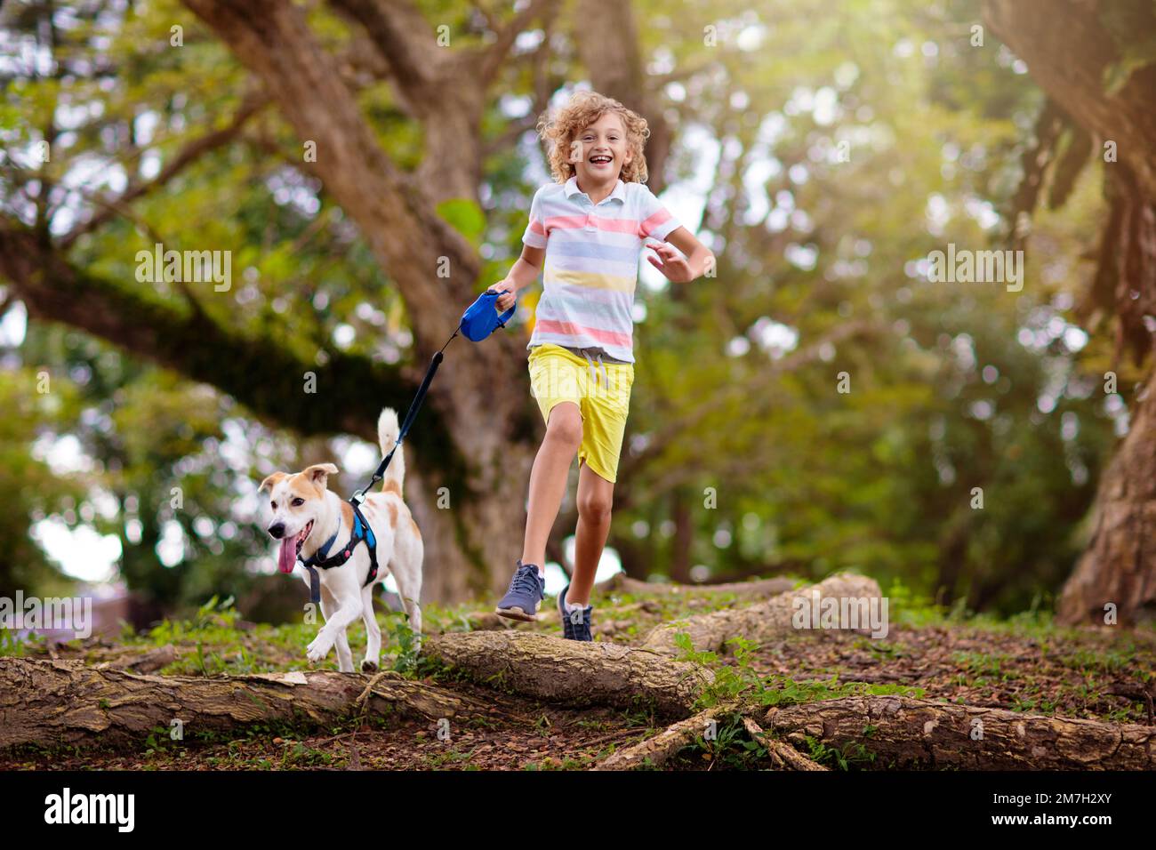 Child and dog walk in summer park. Little boy playing with his puppy ...