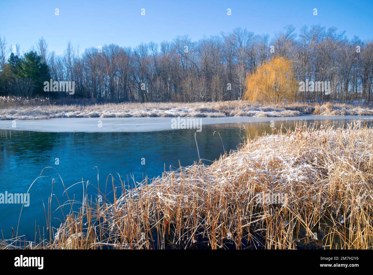 First snowfall in bright hi-res stock photography and images - Alamy