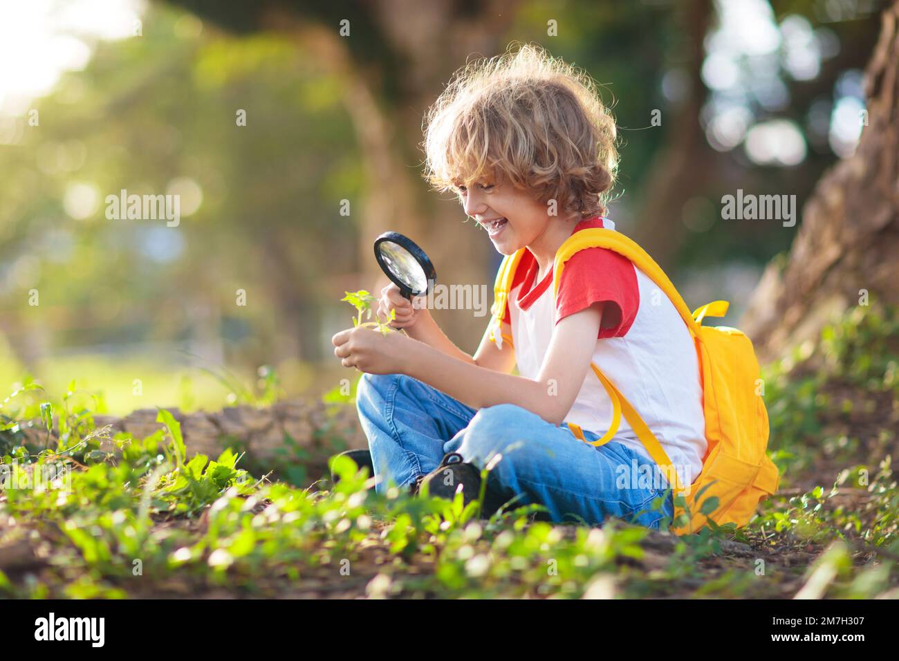 Kids explore nature. Children hike in sunny summer park. Scout club and ...