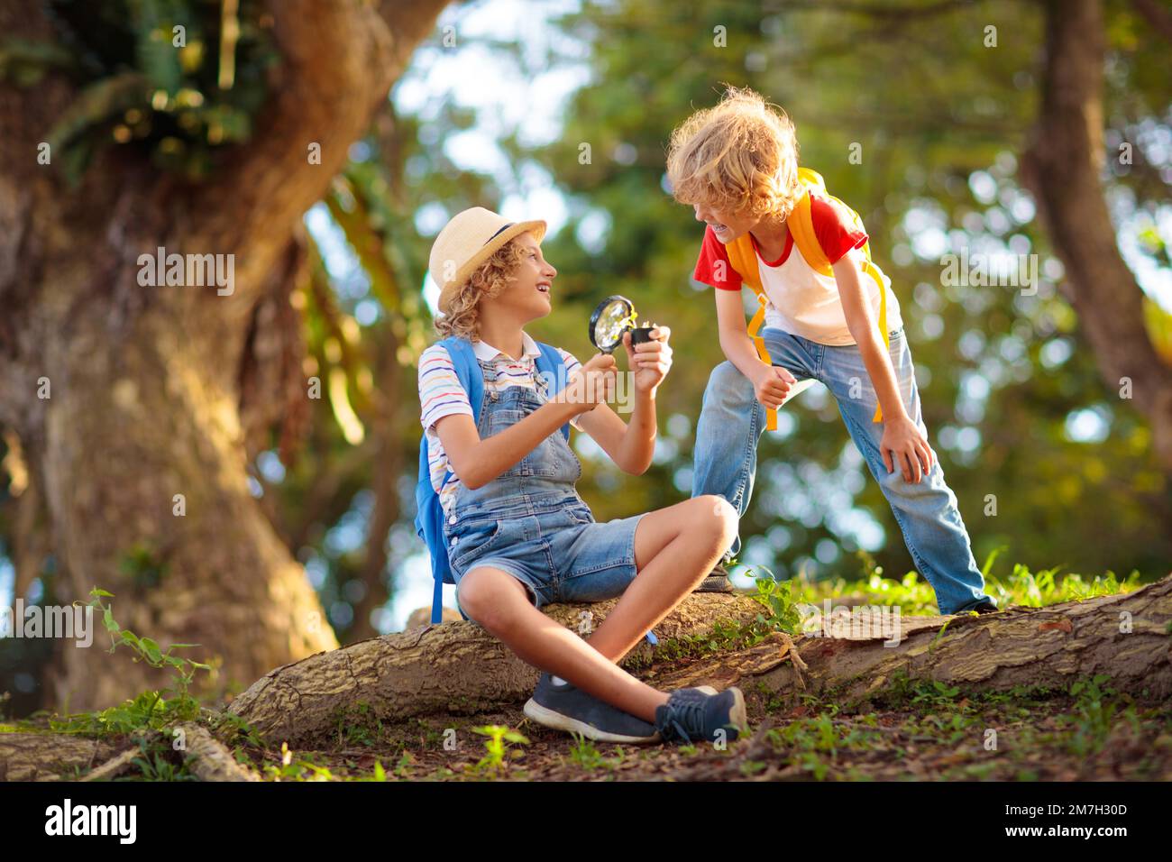 Kids explore nature. Children hike in sunny summer park. Scout club and ...
