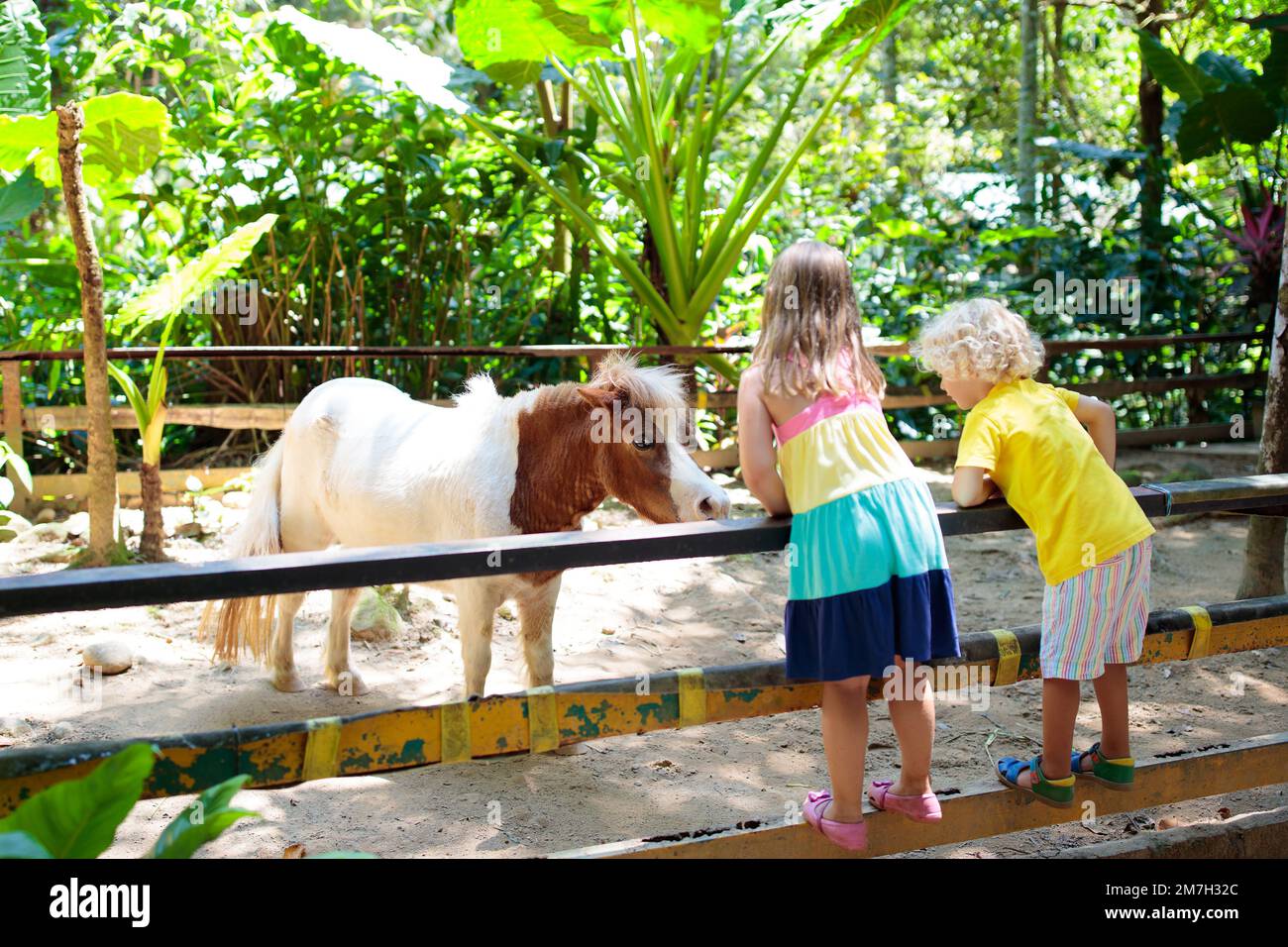 Little girl feeding horse on summer vacation in country ranch. Kids ...