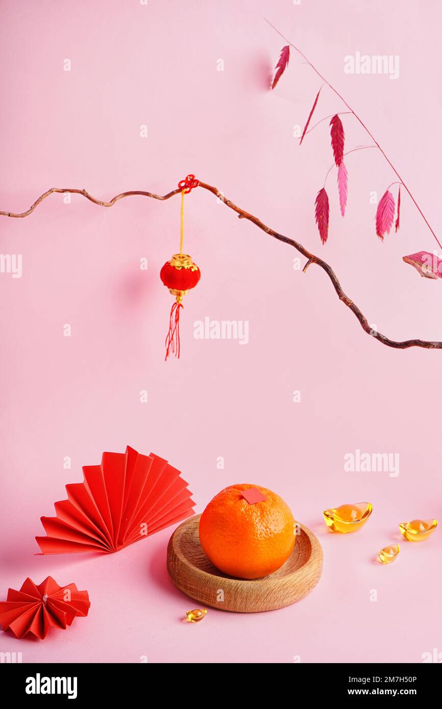 Mandarin, tree branches and Chinese symbols on pink background Stock ...