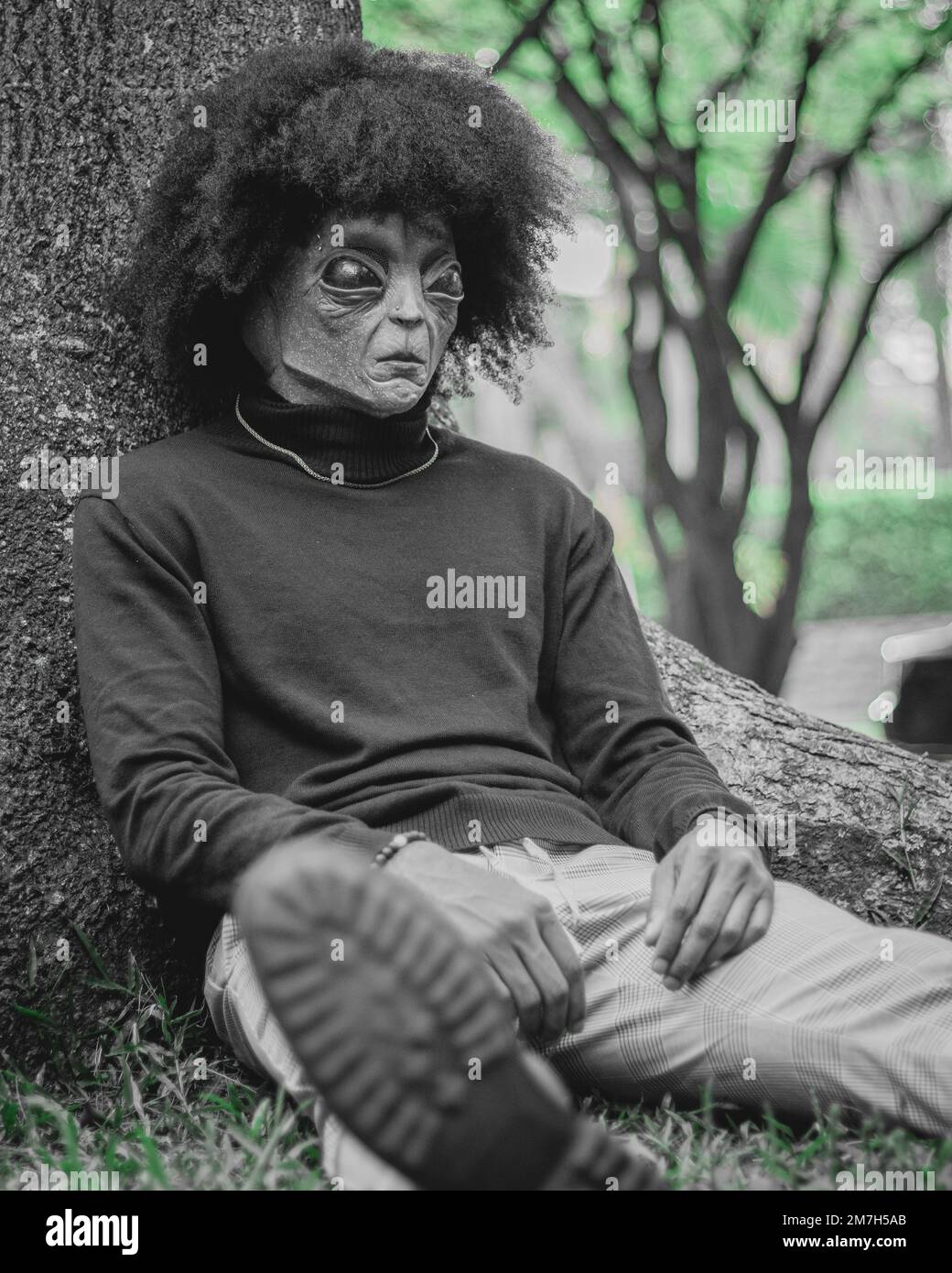 An alien is waiting in a tree Stock Photo - Alamy